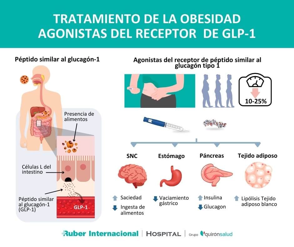 Avances en el tratamiento de la Obesidad. Fármacos innovadores para la reducción de peso